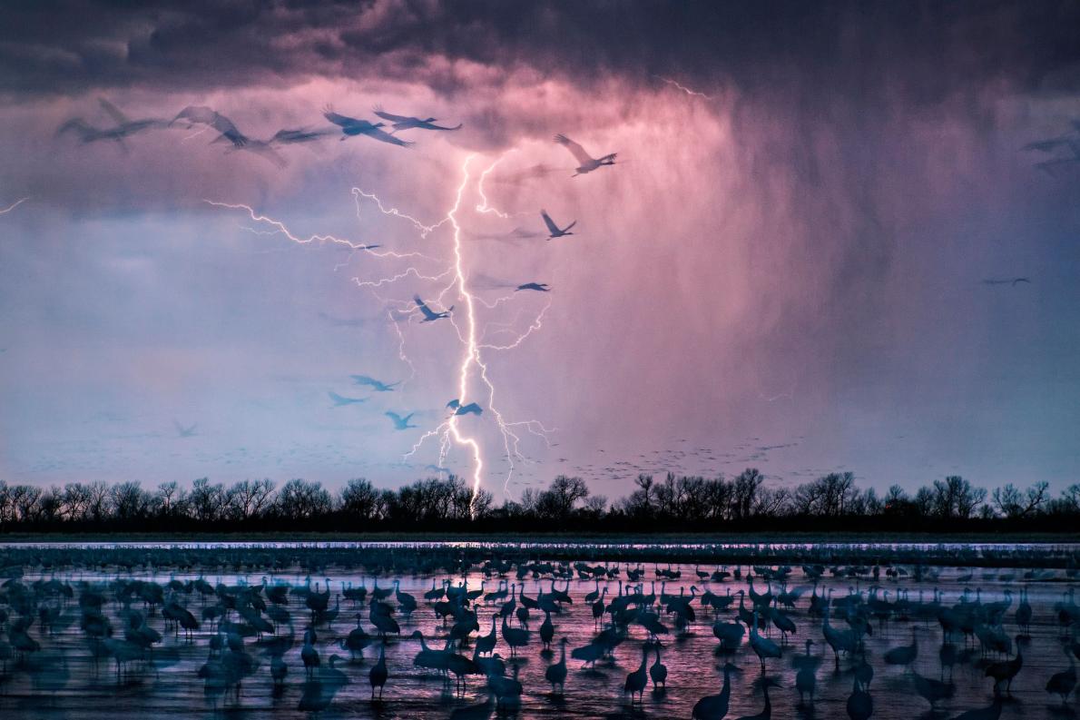 Nice Shot! How a Photographer Captured a Once-in-a-Lifetime Image of ...