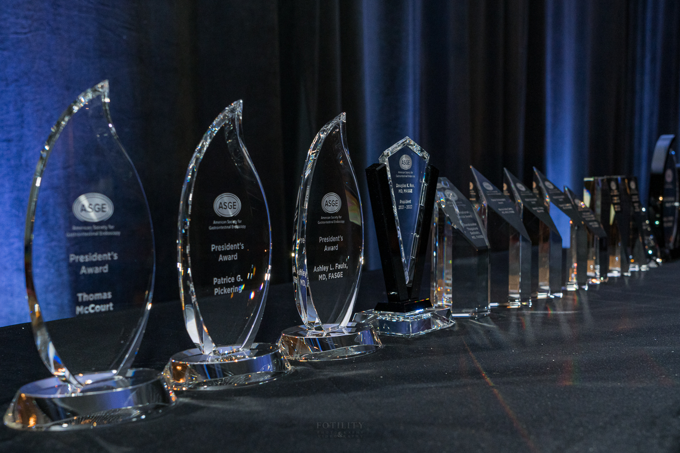 The 2022 Crystal Awards by ASGE, The US Grant | Fotility